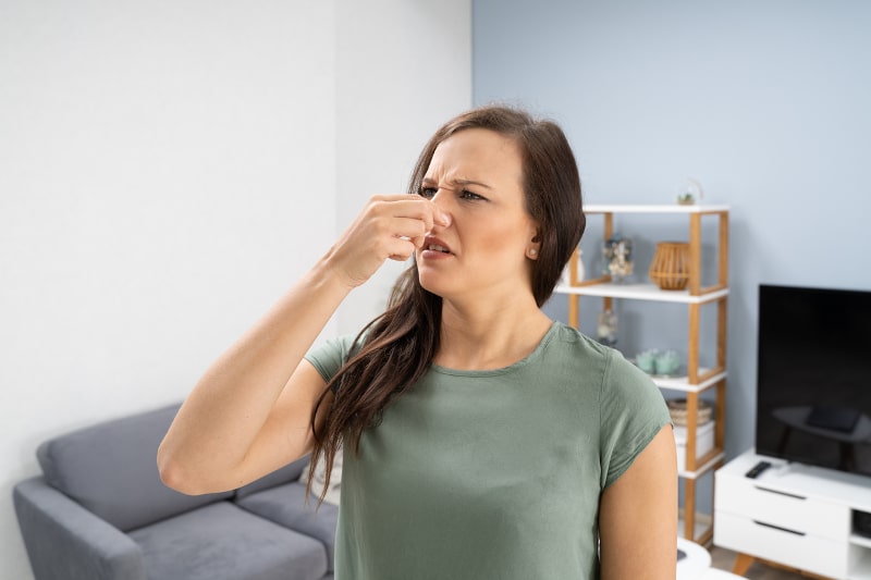 4 Causes of a Smelly Air Conditioner in Arlington Heights, IL